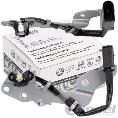 Originale VW Albero a Camme per Audi A3 8L A4 B5 Golf 4 Sharan Polo 9N ...