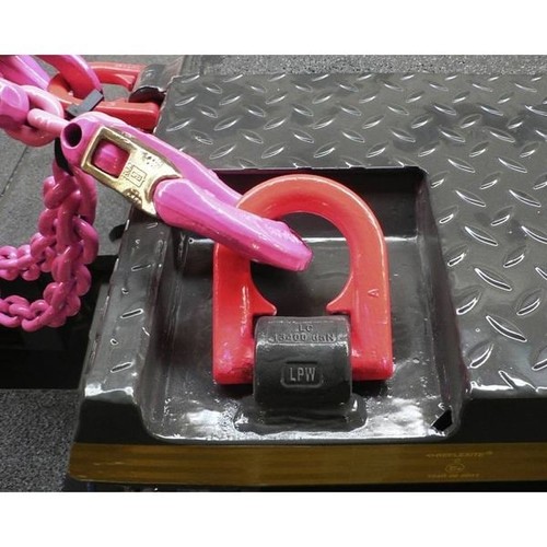 Rud Chain 7993035 Hoist Ring,180 Pivot,3300 Lb.Load Cap. | eBay