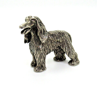 Miniatur Windhund Italienisches Windspiel Im Tiermarkt Von