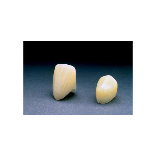 3M ESPE P69 Lower Anterior Short Polycarbonate Dental Crown Form #69 5 ...