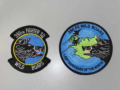 USAF 390th Fighter Squadron Op Northern Guardian 2006 F-15C Air Force ...