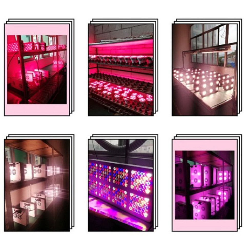 Red Light Therapy Lamp Panel 660nm 850nm Near Infrared LED Light 300W ...