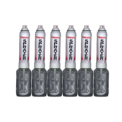 Preval Complete Spray System Paint Sprayer - 6 Pack | eBay