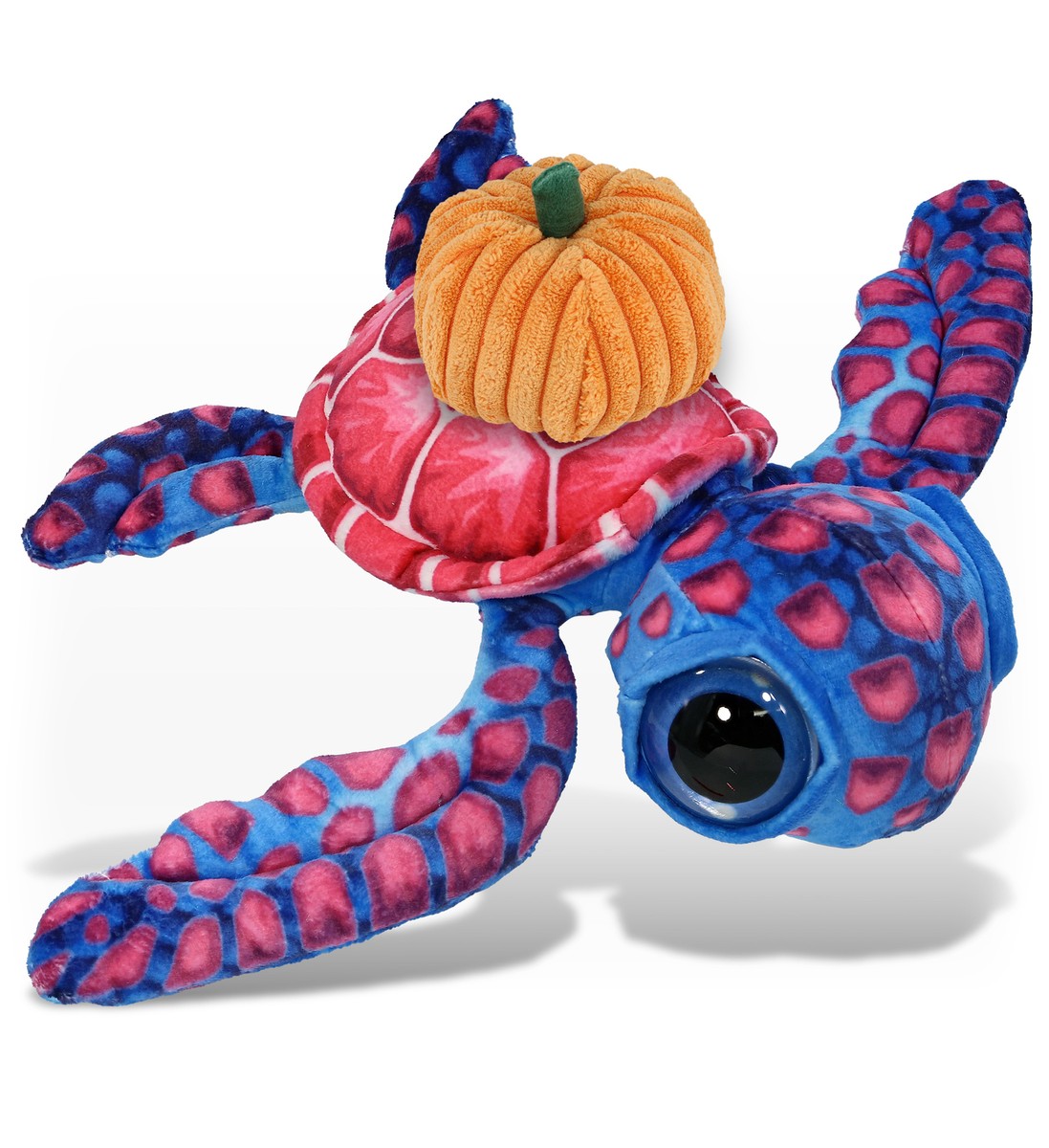 Pumpkin Sea Turtle