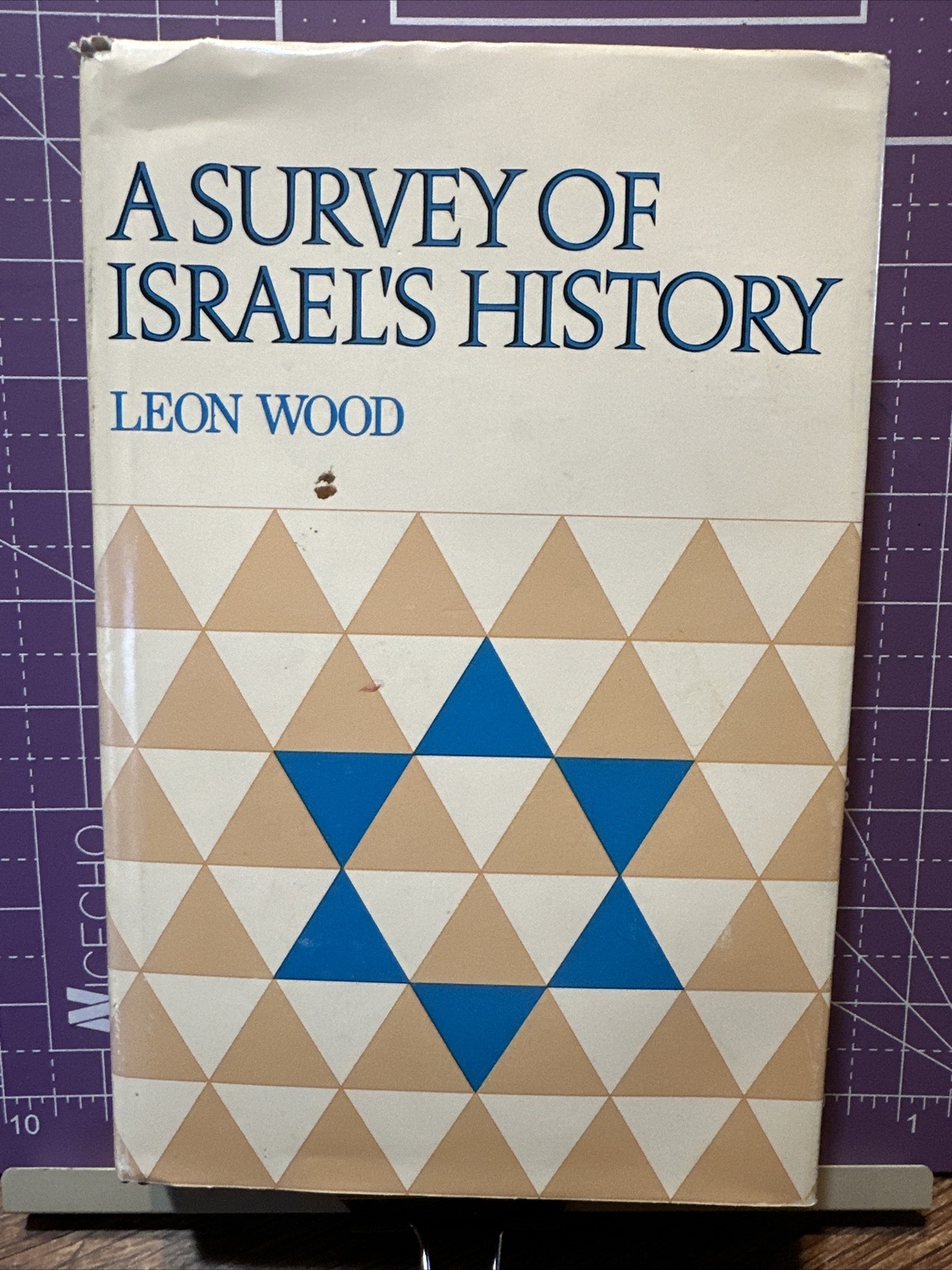 A SURVEY OF ISRAEL'S HISTORY By Leon J Wood - 1970 Hardcover w ...