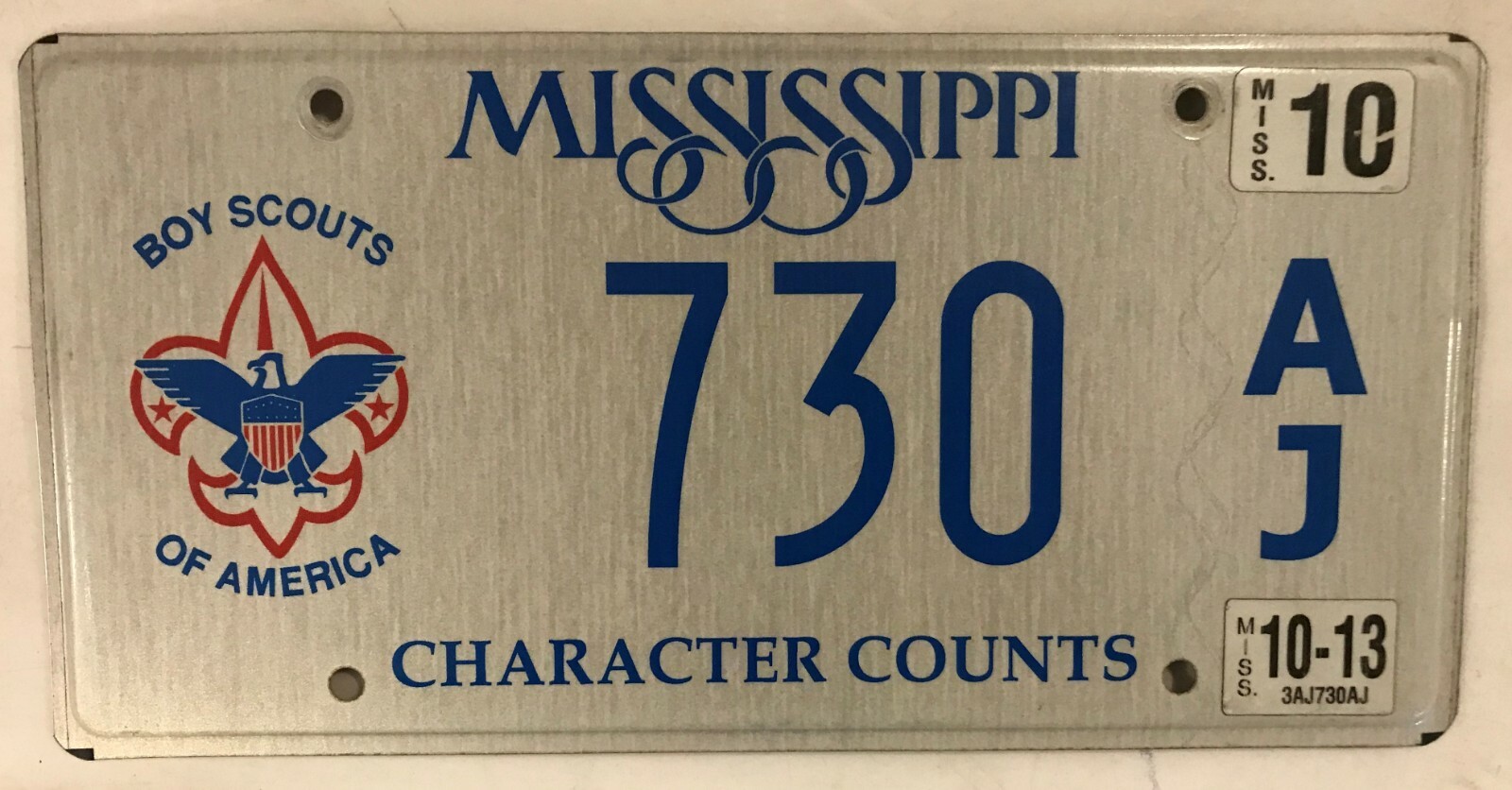 BOY GIRL SCOUT license plate Scouting Troop Camp Jamboree BSA Baden ...