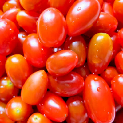TOMATO CHERRY ROMA seeds 15/35/50 seeds High Yields Non Splitting ...