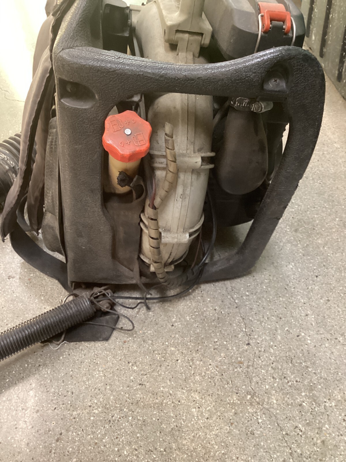 ECHO PB46LN Gasoline Powered Backpack Leaf Blower 2-Stroke Translucent ...