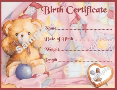 PINK TEDDY BIRTH CERTIFICATE/CERTIFICATES 4 REBORN FAKE BABY approx 7"x ...