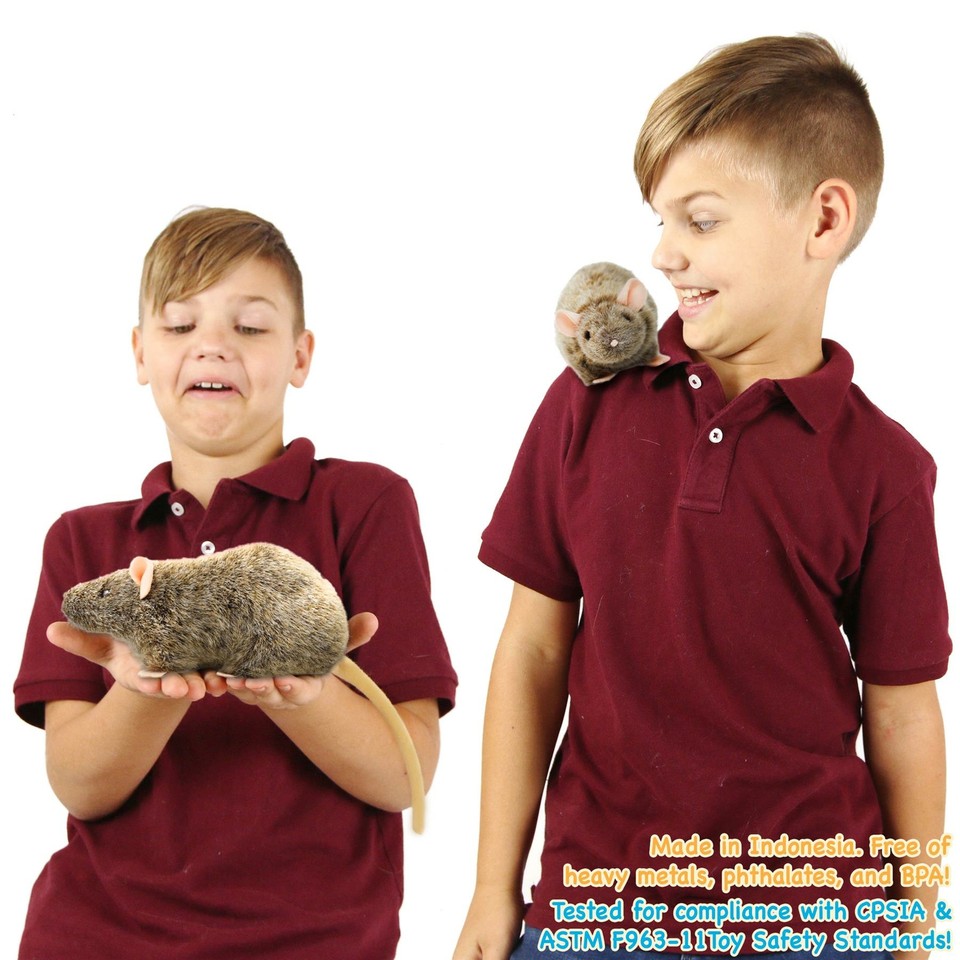 Reuben The Rat | 7 Inch Stuffed Animal Plush | By TigerHart Toys | eBay