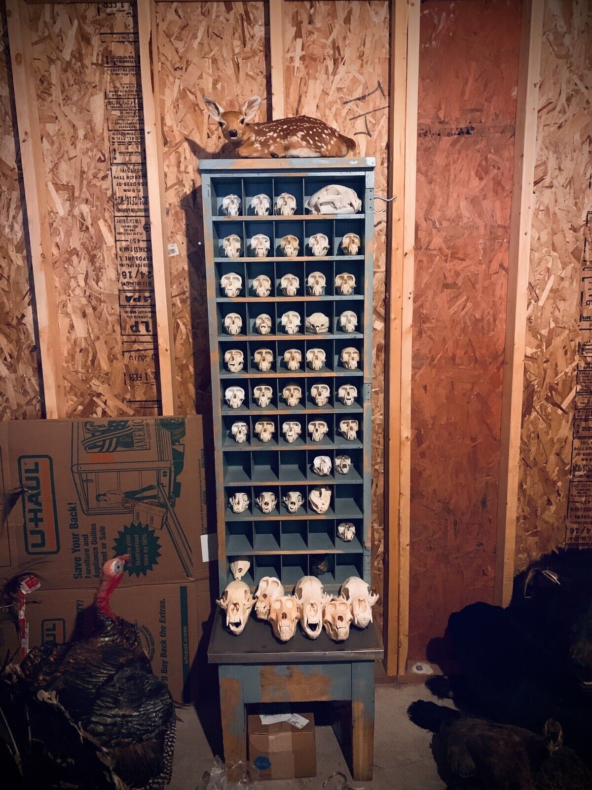 Vintage Official Post Office Mail Sorter Antique 1963 | eBay