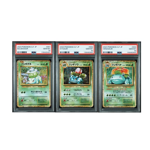 [Pokeka excavation team] Captain's treasured item! Fushigibana ...