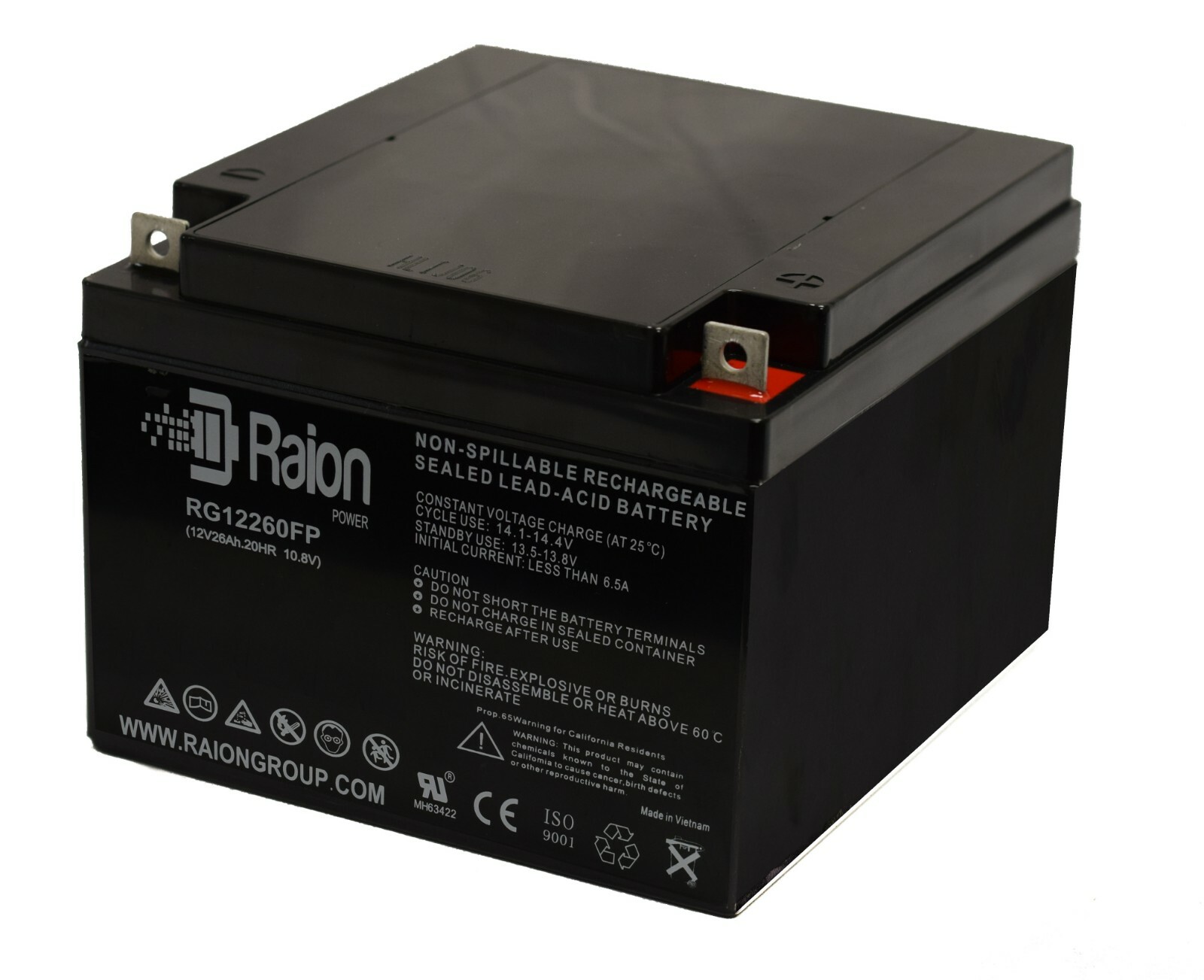 Raion Power RG12260FP 12V 26AH Battery Replacement for Odyssey PC925 ...