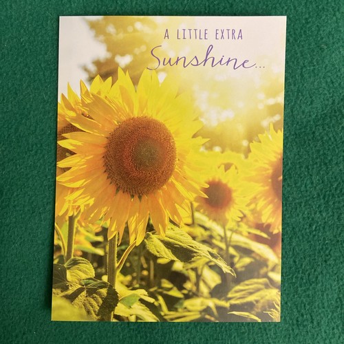 Leanin’ Tree Encouragement Greeting Card “A Little Extra Sunshine…” | eBay