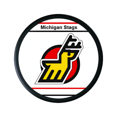 WHA Retro Style 1970's Michigan Stags Souvenir Hockey Puck NEW | eBay