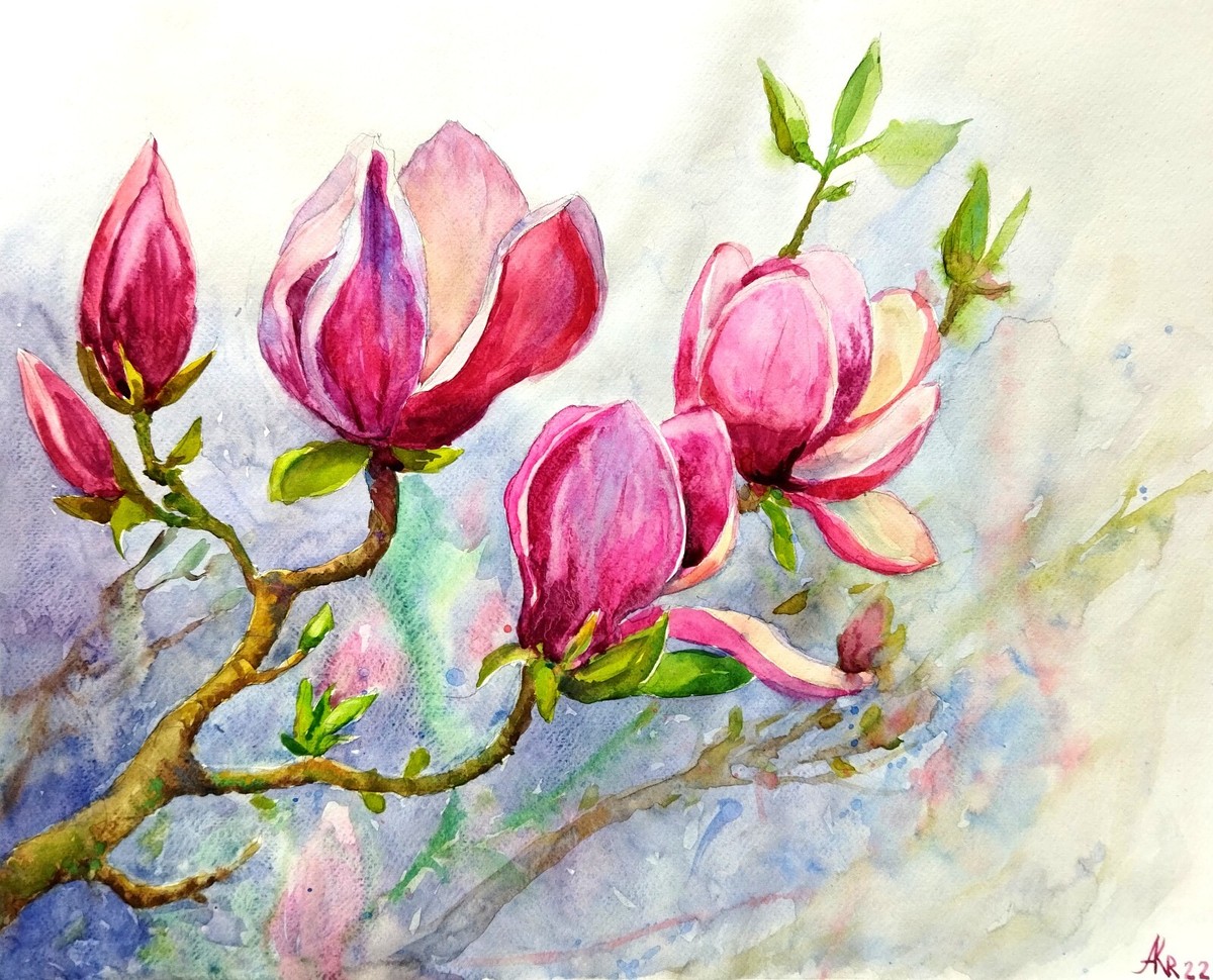 Magnolia Flower Painting Watercolor | Best Flower Site