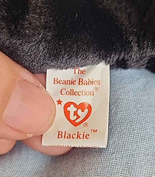 Ty Beanie Babies Blackie The Bear with Tags Mint Condition Retired ...