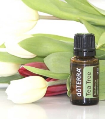 DoTERRA Tea Tree Pure Essential Oil 15ml Pure Respiratory Health Lice ...