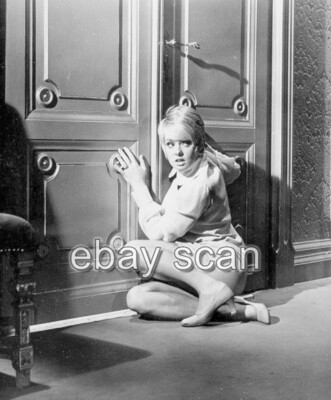 ACTRESS DANCER JOEY HEATHERTON LEGGY CHEESECAKE 8X10 PHOTO 6135 | eBay