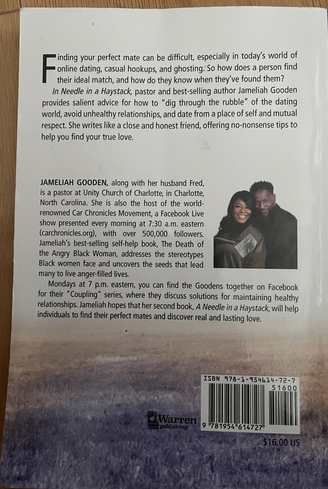 Needle in a Haystack : How to Find Love in the Rubble by Jameliah Gooden (2021, Trade Paperback ...