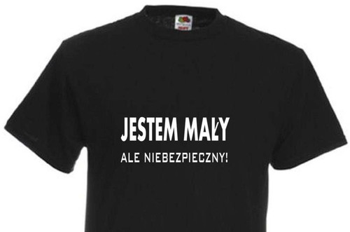 JESTEM MALY...POLISH POLSKA KOSZULKA FUNNY SLOGAN MEN BLOKE T-SHIRT ...