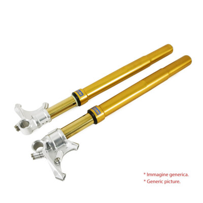 Ohlins Fork Fourche FGRT 200 Kawasaki Zx > 10 Rr 2018 > 2020 FGRT 225 ...