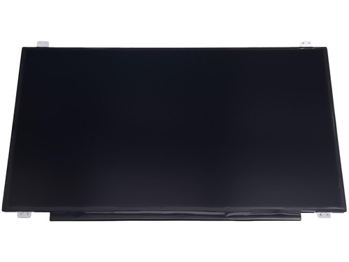 Acer Predator GX-792 PH317-51 LCD Screen Display Panel KL.1730D.008 | eBay