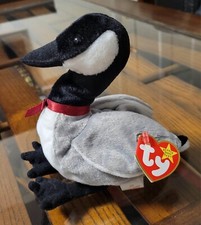 Loosy the Canadian Goose - Beanie Babies - Beaniepedia