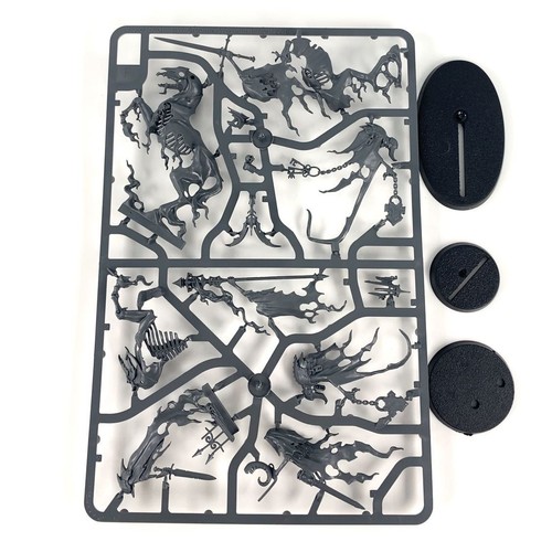 The Ethereal Court Plastic Warhammer AOS | P-00H37 | eBay