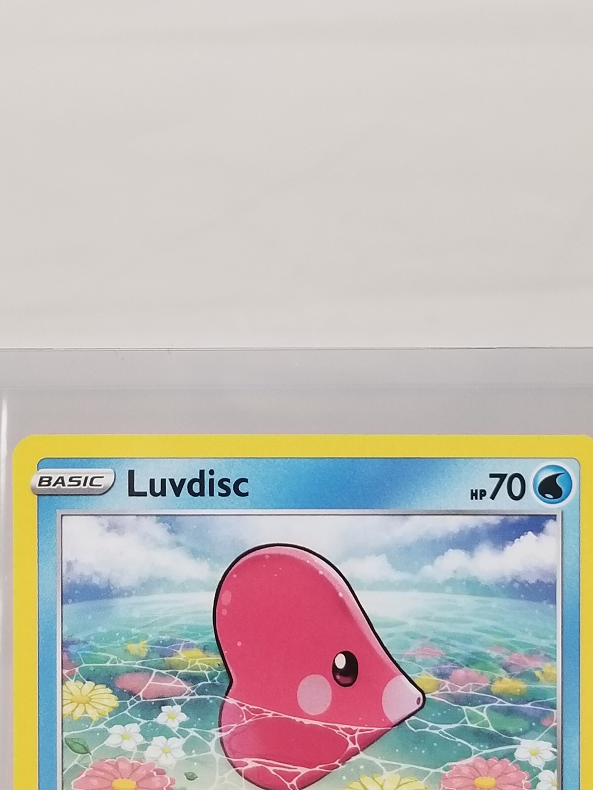 Luvdisc Pokemon Card 39/203 | eBay