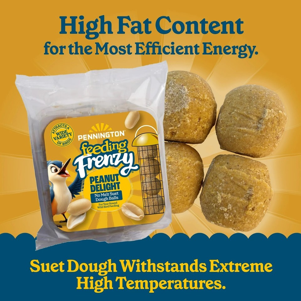 Pennington Feeding Frenzy No-Melt Peanut Delight Suet Balls for Bird ...