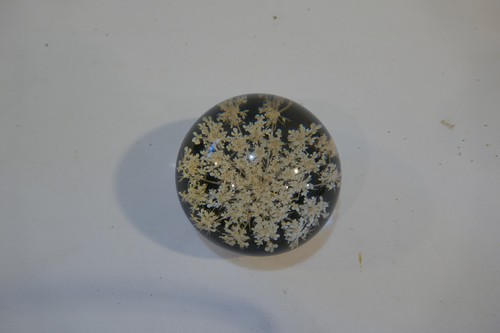 Tarax Infinity of Canada Lucite Paperweight Queen Anne's Lace Preserved ...