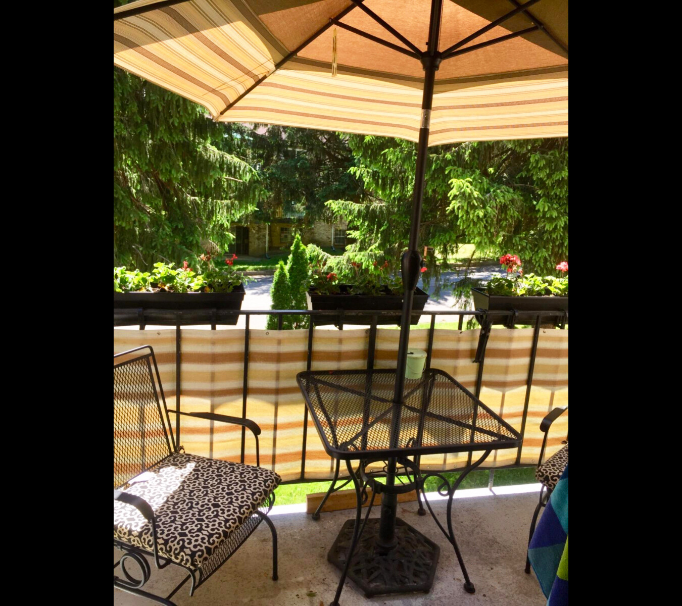 (Pack of 3) Cali Beige/Sand Deck Balcony Privacy Screen Net Mesh 32" x ...