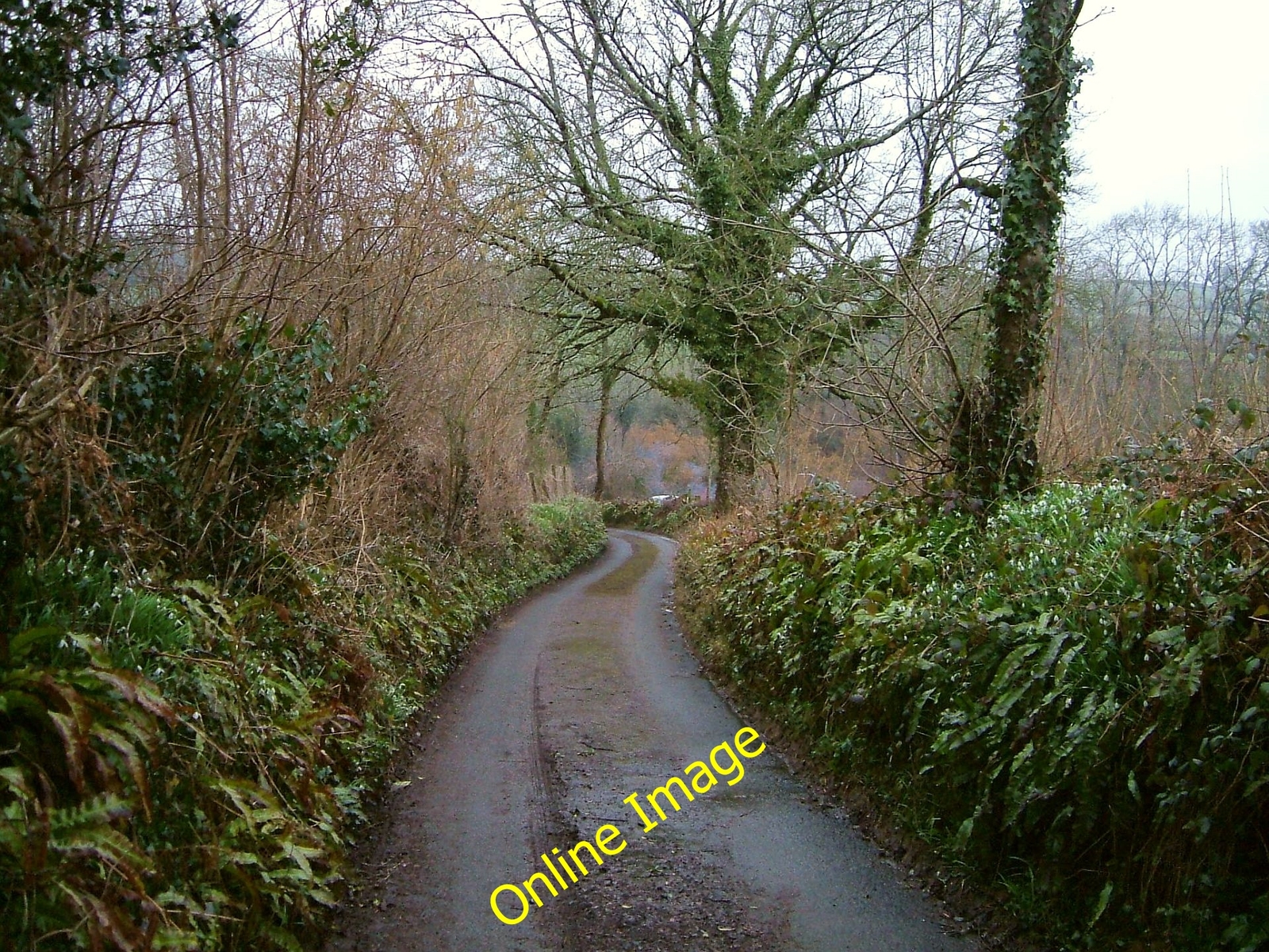 Photo 6x4 Lane to Brooking Tigley A tiny lane winds down between banks ...