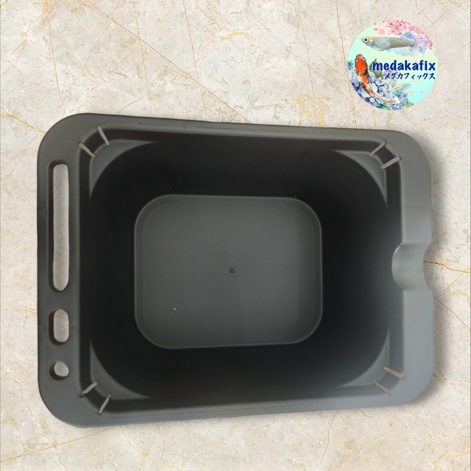 Medaka Rice Fish Breeding Box 0.63 gal. Rice Fish Matte Finish Black ...