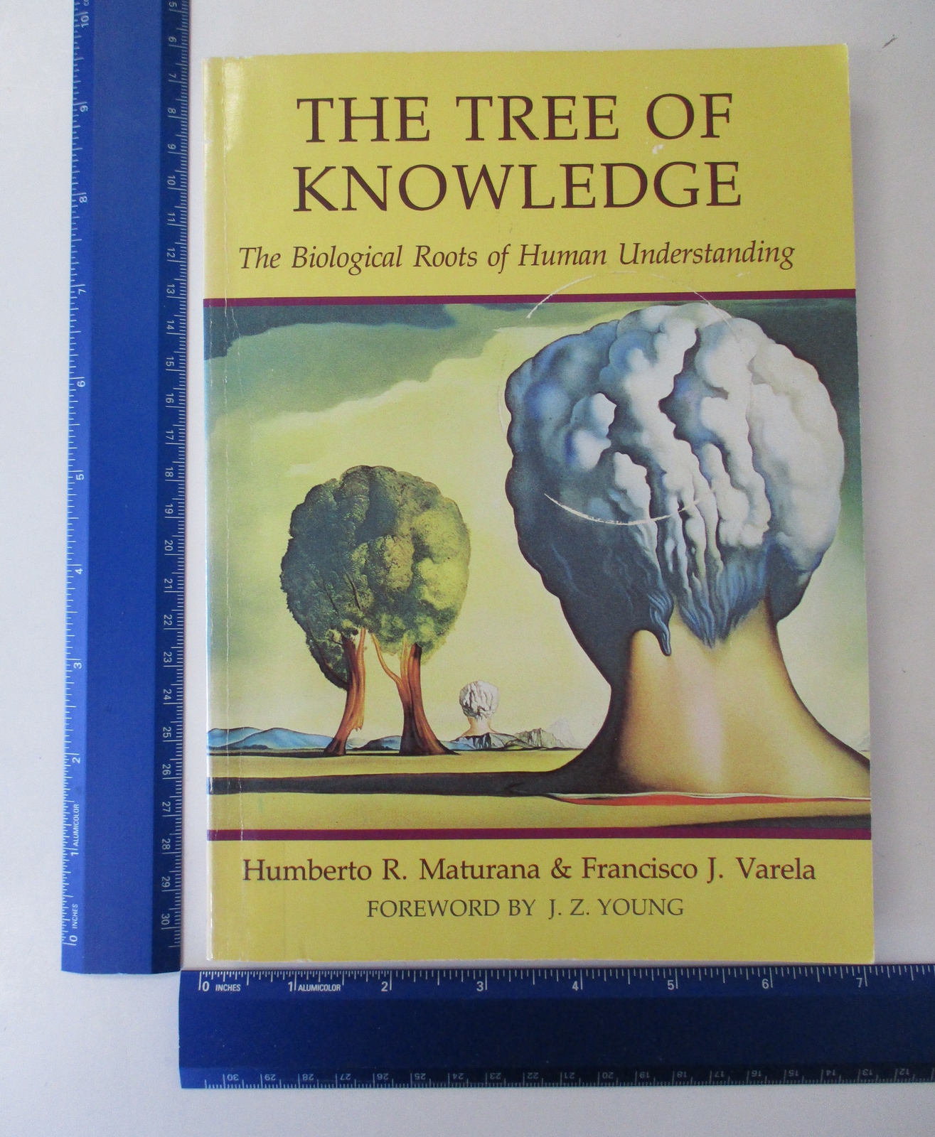 The Tree of Knowledge: The Biological Roots of Human Understanding ...