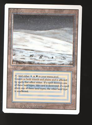 Magic MTG 3rd Edition Revised Tundra NEAR MINT (NM) *844 | eBay
