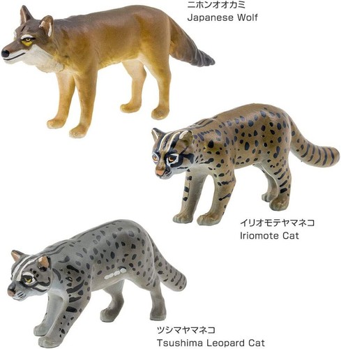 Colorata Real Figure box ese Animal Mammals Birds Extinct Species | eBay