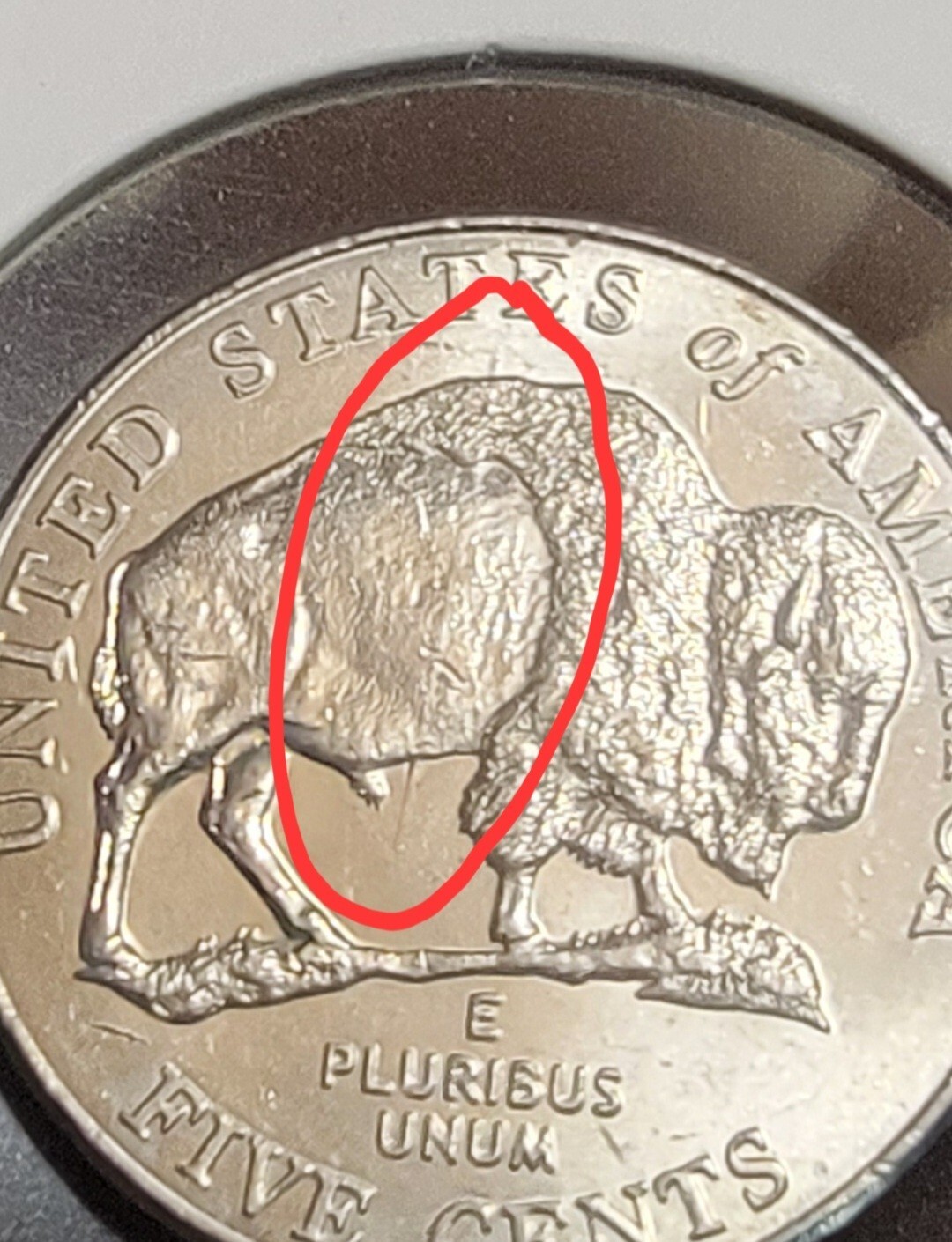 2005-D 5c " SPEARED BISON " Nickel | eBay