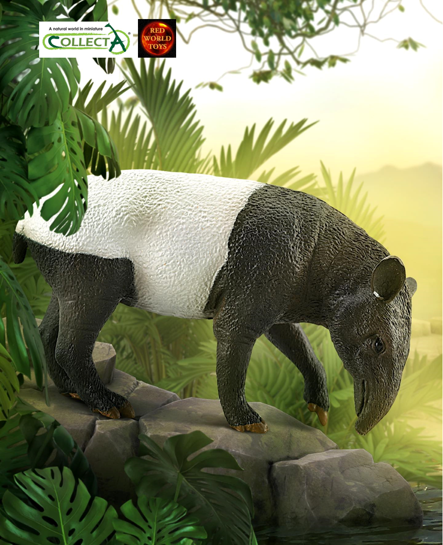 Malayan Tapir A Baby Tapir For Chester Zoo I Love Macc