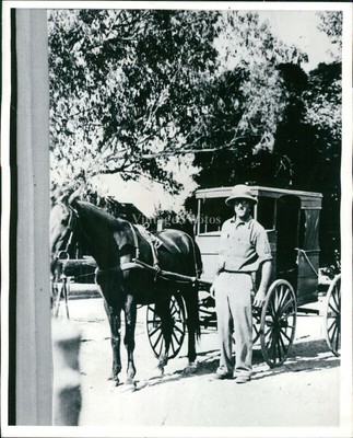 1972 Photo Horse Tr Smelzer Trip Mounted Delivery Mail Carriage 8X10 ...
