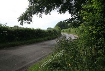 Photo 6x4 This way towards Tidpit East Martin The country lane from ...