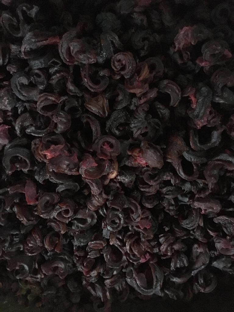 Organic Goraka Dried Garcinia Cambogia Brindleberry Natural Sun Dried ...