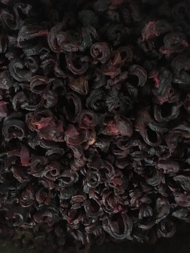 Organic Goraka Dried Garcinia Cambogia Brindleberry Natural Sun Dried ...