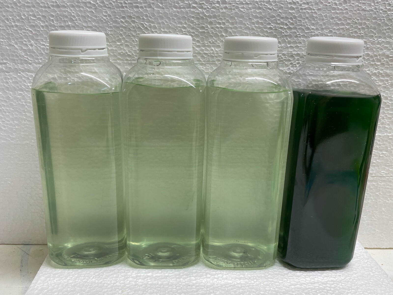 3 BOTTLES OF LIVE COPEPODS TISBE TIGGER APEX PODS AND 1 BOTTLE OF ...