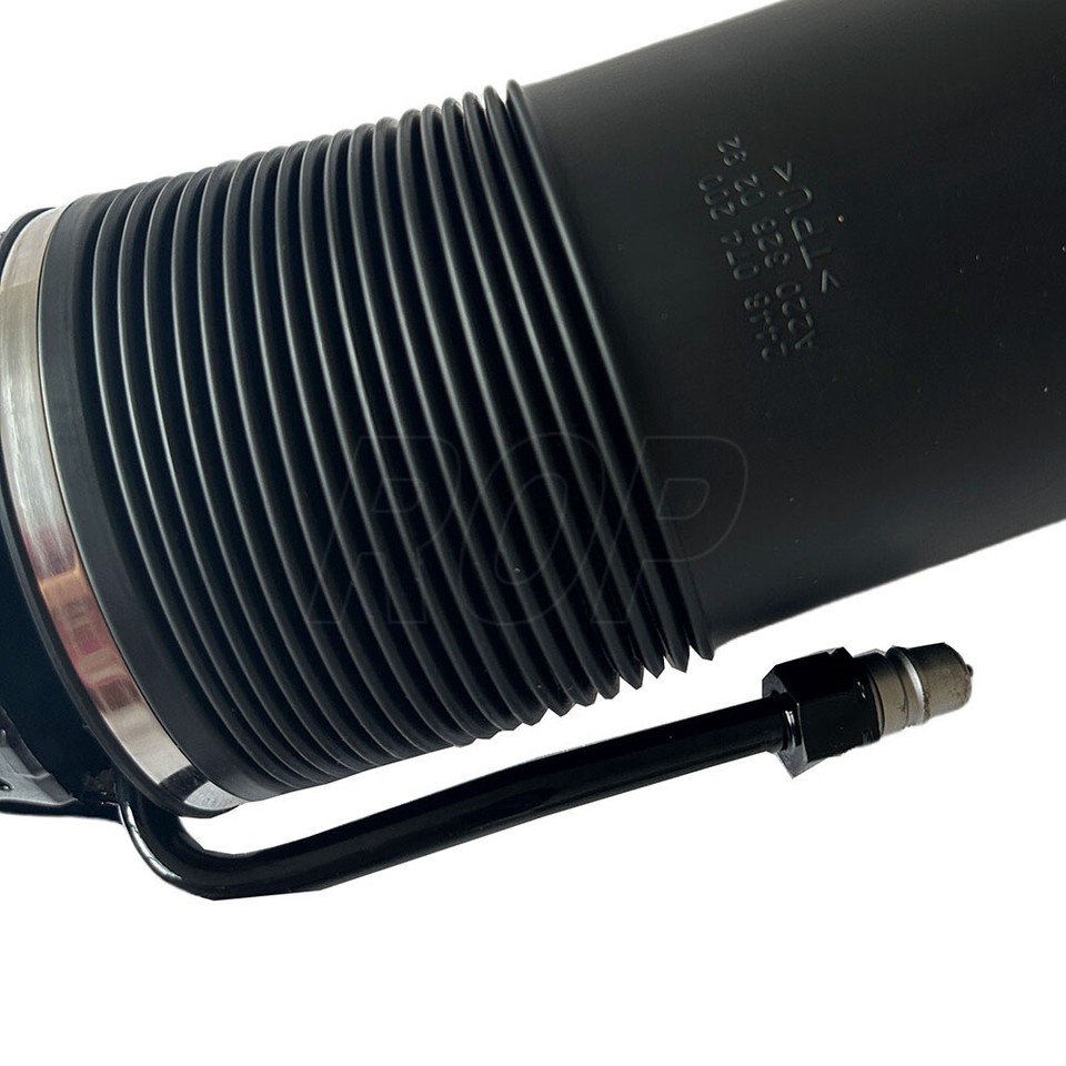For Mercedes W220 S-Class CL500 S55 Rear Left Air Suspension Strut ...