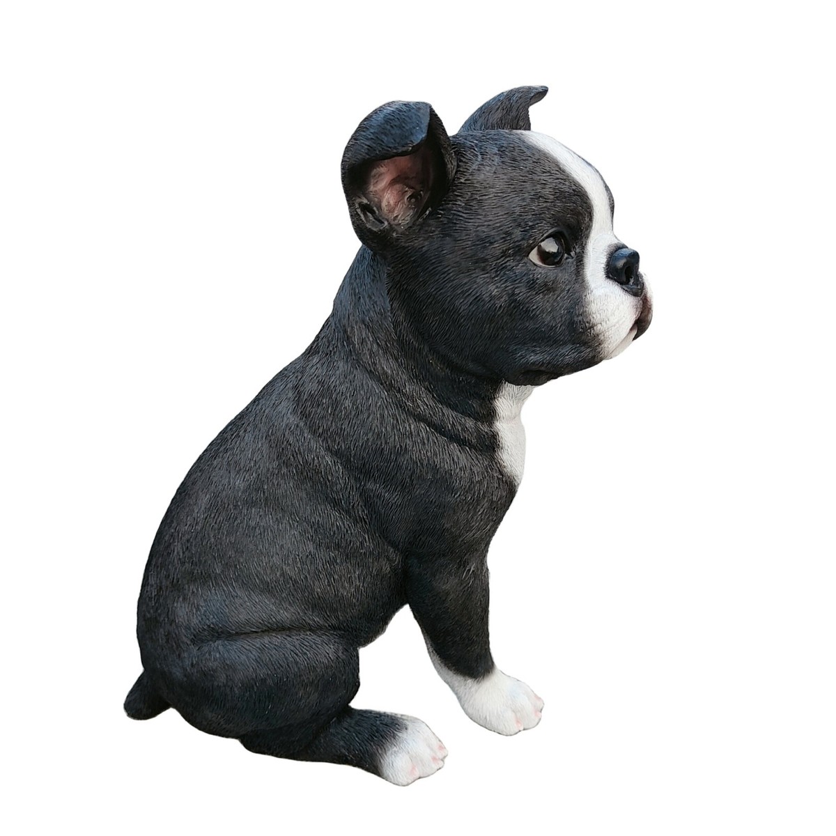 Welcome Statue Boston Terrier HiLine Gift Ltd. Boston Terrier Sitzend