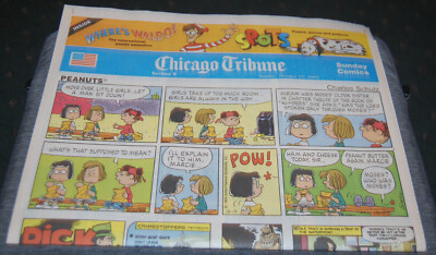 Oct 17 1993 Sunday Chicago Tribune Comic Section Spiderman,Peanuts, | eBay