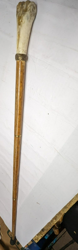 Unique Vintage Used Collapsible Wooden & Bovine Walking Cane 35 " Long ...