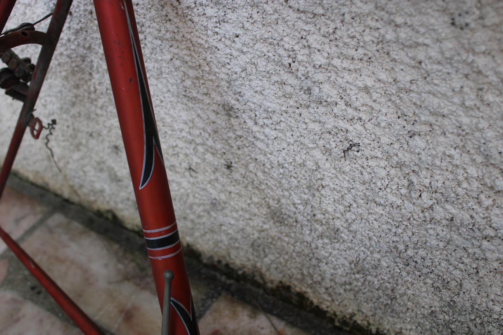 cadre randonneuse 650B 1950-55 avec freins mafac (no goeland rené herse ...